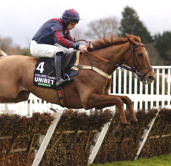 Jamie Snowden Stable Tour: 2024/25 Jumps Season Preview