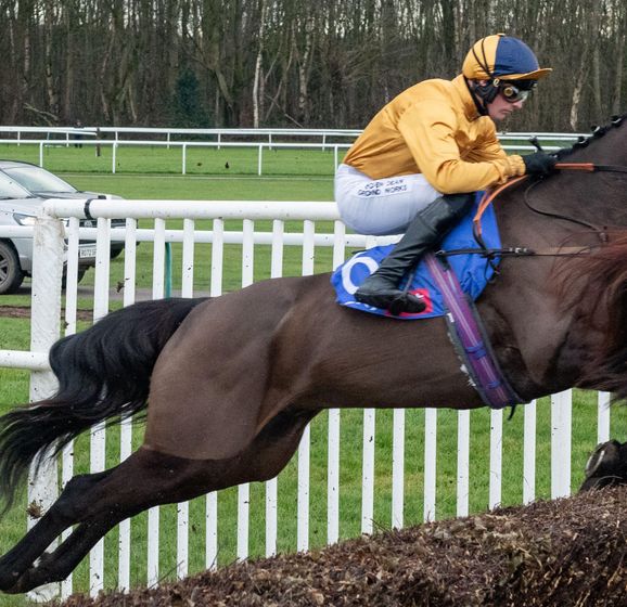 Imperial Saint lands gamble in Sky Bet Peter Marsh Chase