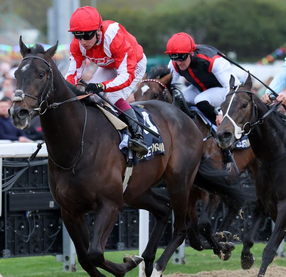 All-Weather Championships Finals Day: Review, reaction and replays