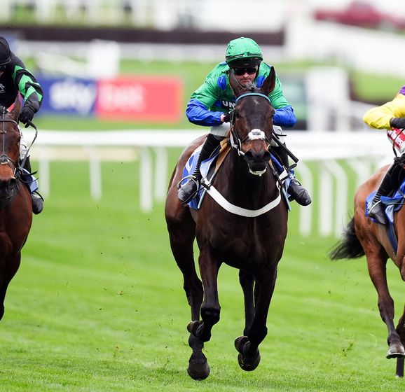 Sky Bet Supreme Novices' Hurdle result: Old Park Star wins as British ...
