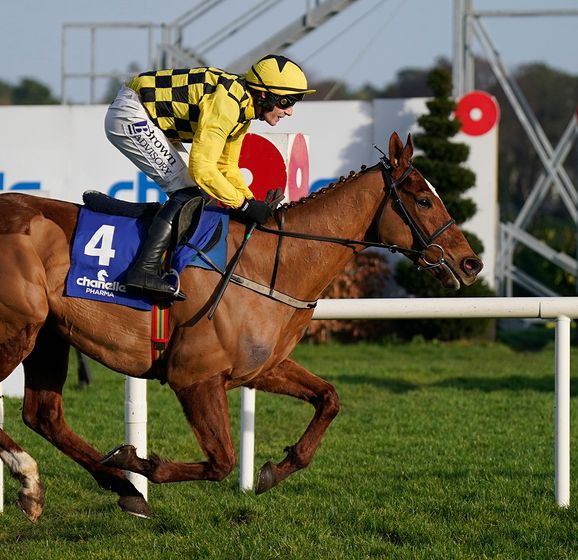 Cheltenham Festival feature: David Ord the Champion Hurdle without ...