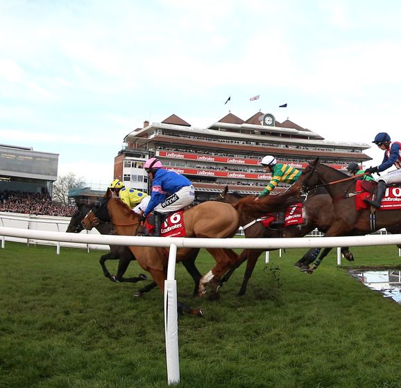 Ladbrokes Trophy tips: Horse by horse guide from Stuart Williams