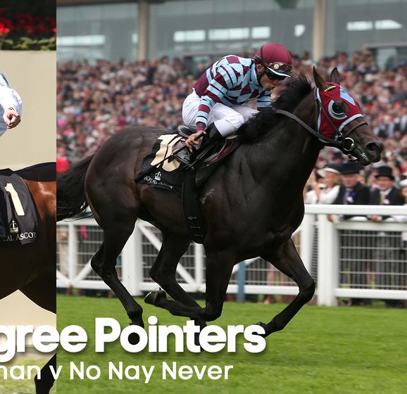 Pedigree pointers: Cassie Tully looks at the burgeoning stallion ...