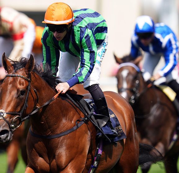 Time For Sandals won't run again this season following run in Betfair ...