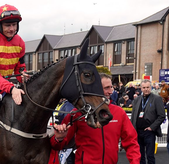 Kauto Star Novices' Chase entries revealed