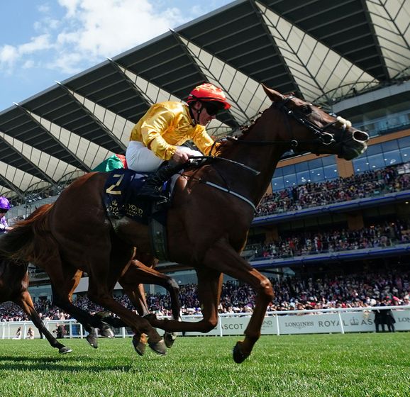 Irish Champions Festival preview: Leopardstown and the Curragh