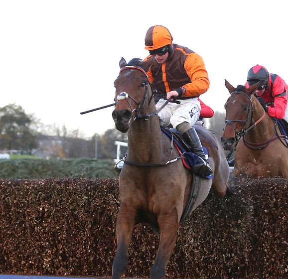 Noble Yeats set to swerve King George and wait for Lingfield or Cheltenham