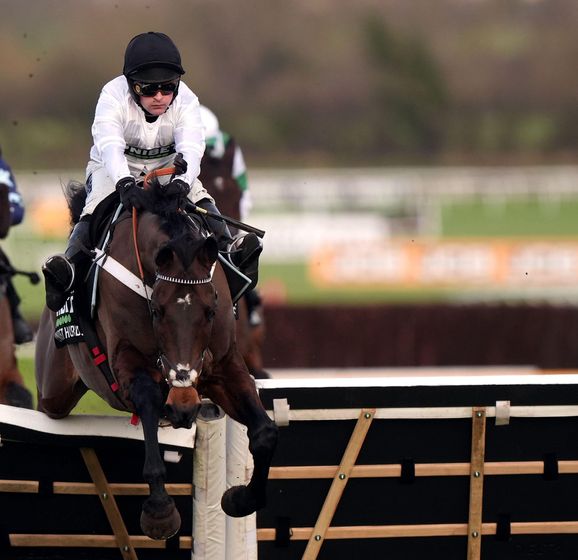 Constitution Hill returns for Aintree Hurdle following Champion Hurdle fall