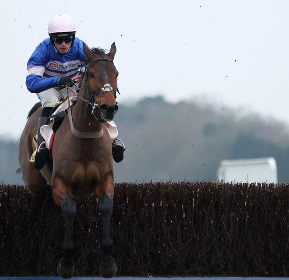 bet365 Charlie Hall Chase preview: The Real Whacker defends crown