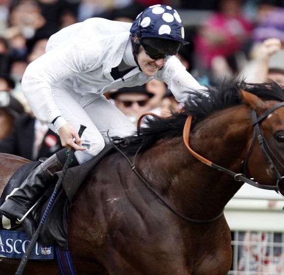 Dan Briden Two-Year-Old Guide: Harry Eustace