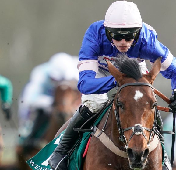 Mark Howard reflects on the recent key action ahead of Cheltenham