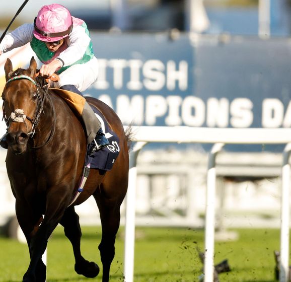 Andrew Balding Stable Tour: Guide to his 2025 team