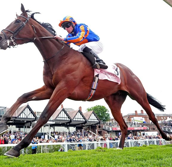 Constitution River confirmed for Chantilly and will run in Sunday's ...