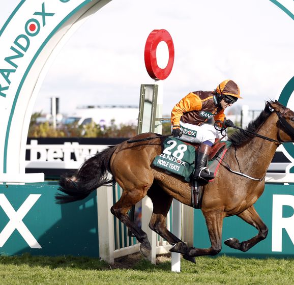 Grand National winner Noble Yeats dies of colic aged 11