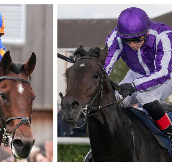 Coral-Eclipse 2026 latest | Aidan O'Brien to run both Constitution ...