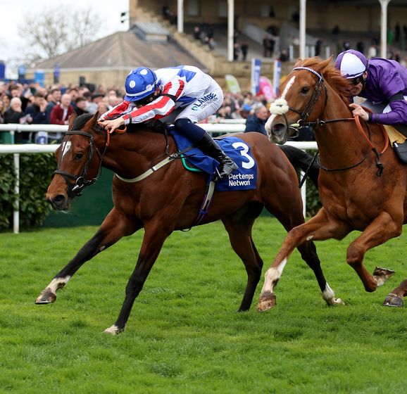 Brisland plotting Royal Ascot route for Doddie’s Impact