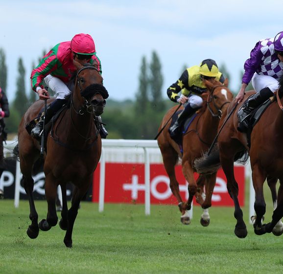 Live racing blog: Trackside Live updates from Lockinge day at Newbury