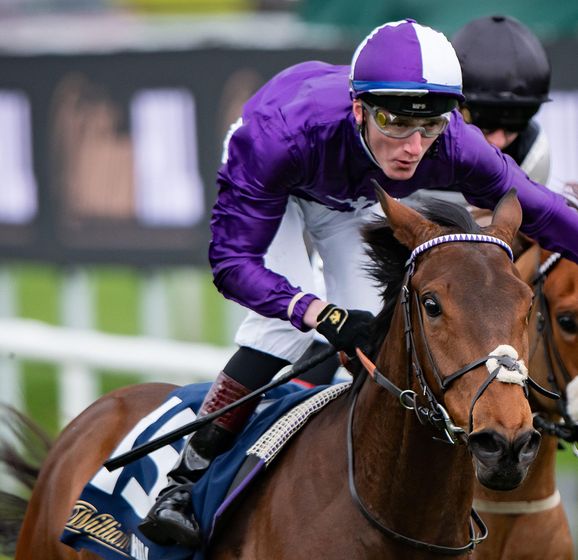 David Egan shines on Mr Professor in winning the Lincoln for Amo Racing