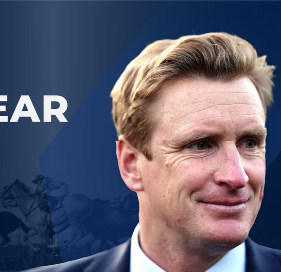 Dan Briden 2YO Guide: Ed Walker