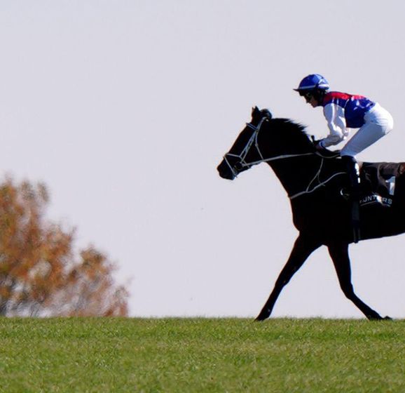Betfred Derby Festival gallops morning | Balzac shoots for the moon in ...