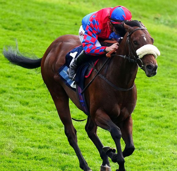 Breeders' Cup latest: Mick Appleby pair on target