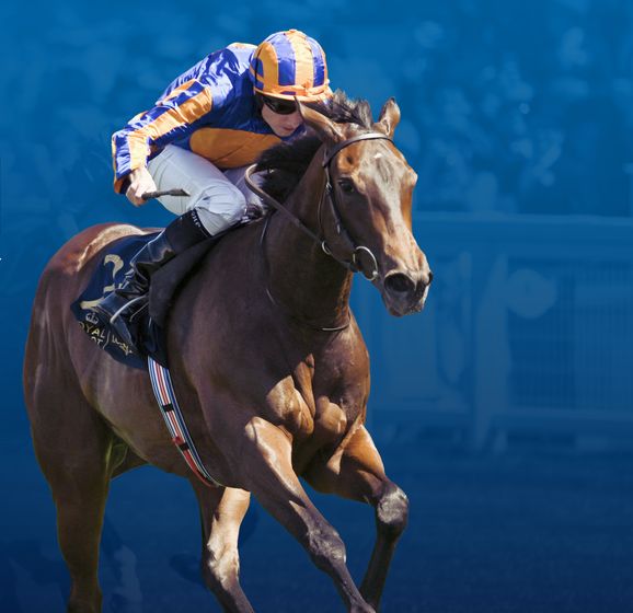 Timeform Daily View | Friday preview and tips