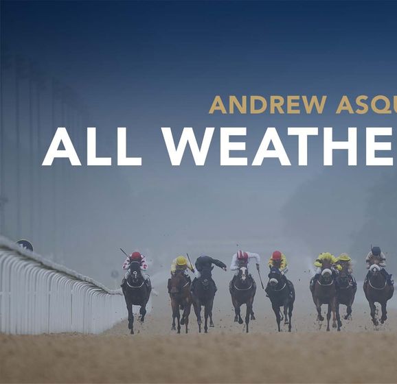 All-Weather racing tips, news and tracker horses