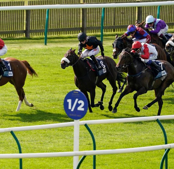 Newmarket Rowley Mile course guide and key statistics for the ...