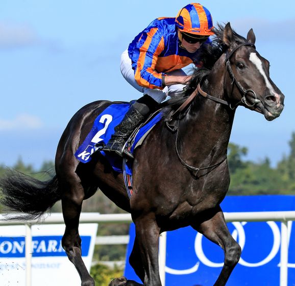 Auguste Rodin tops Vertem Futurity Trophy field at Doncaster for Aidan ...