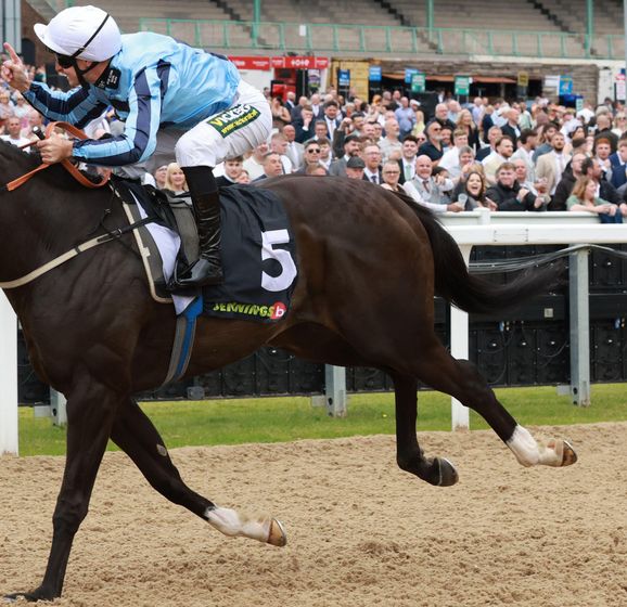 Northumberland Plate preview: Onesmoothoperator set for Newcastle defence