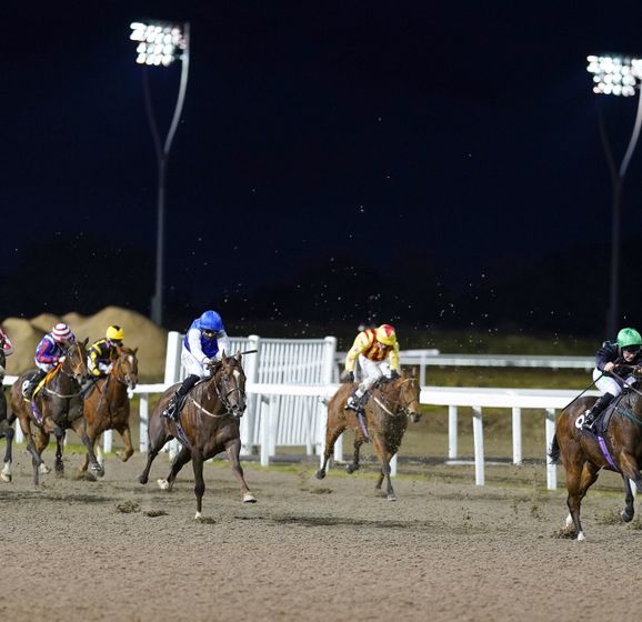 Chelmsford racing tips: Man On The Spot preview and verdicts for ...