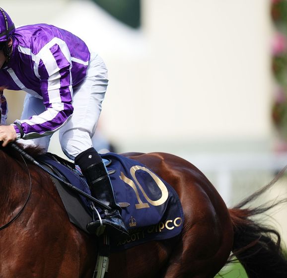 Trackside Live from Royal Ascot: parade ring updates and selections