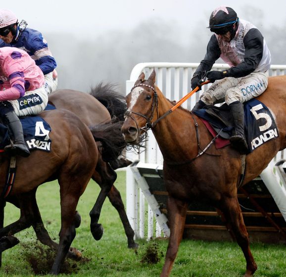 Howden Long Walk Hurdle report: Crambo wins again