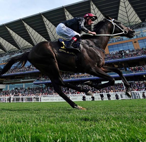 Jane Chapple-Hyam Stable Tour