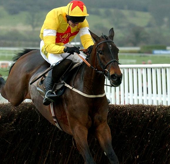 Azertyuiop thriving 20 years on from Champion Chase glory