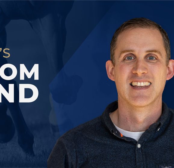 Irish racing tips: Tony Keenan best bets for today