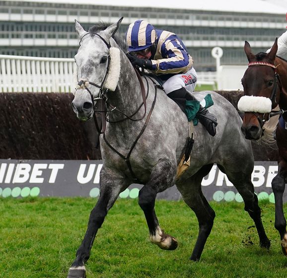 Randox Grand National: King Turgeon could target Aintree