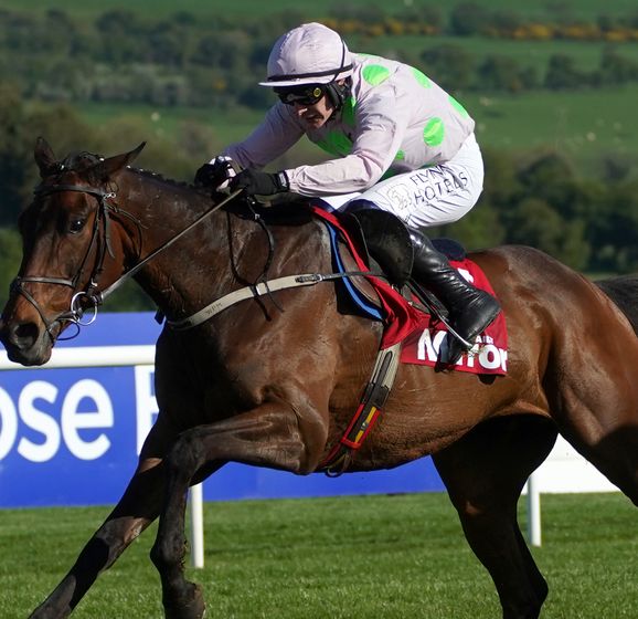 Willie Mullins plots novice chasing campaigns for Gaelic Warrior and ...