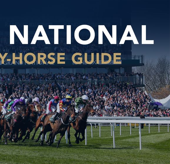Grand National Runners: Pinstickers guide to Saturday’s big race and tips