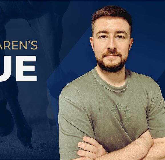 Aintree & Fontwell tips: Best value bets on Sunday October 26