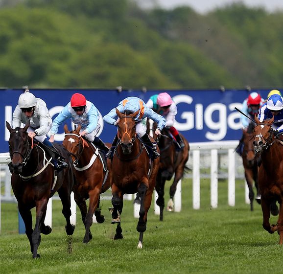 Royal Ascot trials day review: Dee Ex Bee wins Sagaro Stakes