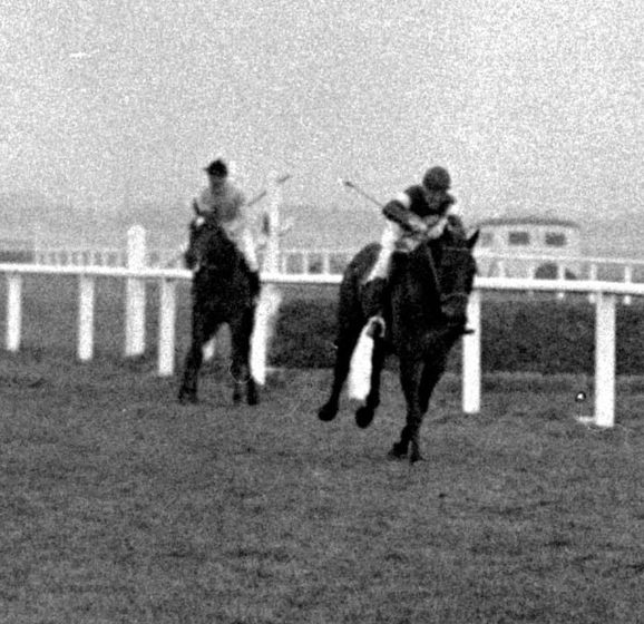 Grand National unlucky losers: Devon Loch