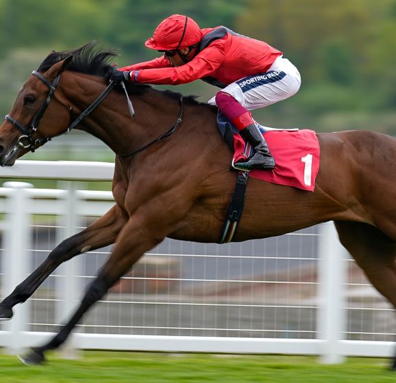 John and Thady Gosden duo Emily Upjohn and Nashwa headline eight in the ...