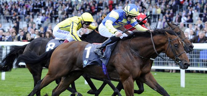 Dan Briden Two-Year-Old Guide: Jack Channon & James Horton