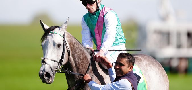 Barry Mahon on Juddmonte plans for Guineas colts Jonquil, Field Of Gold ...