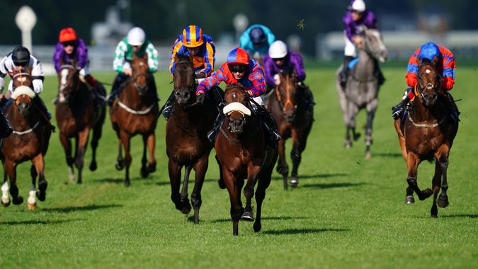 First-season sires Soldier's Call and Blue Point leading the way