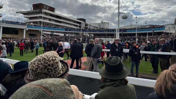 App users: Please use Sporting Life website for race replays due to ...