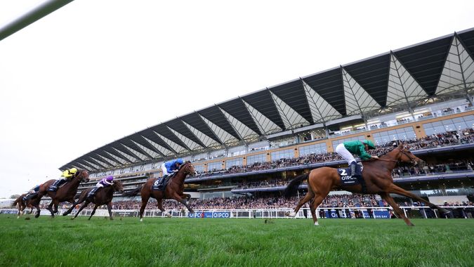 Champion Stakes result and report | Calandagan shows his class