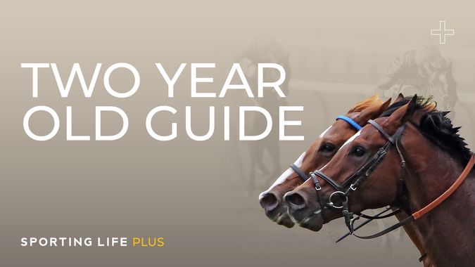 Dan Briden Two-Year-Old Guide: Jack Davison and John O'Donoghue stable ...