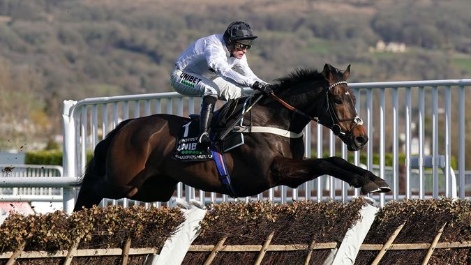 Cheltenham Festival news: Graham Cunningham on Constitution Hill and ...